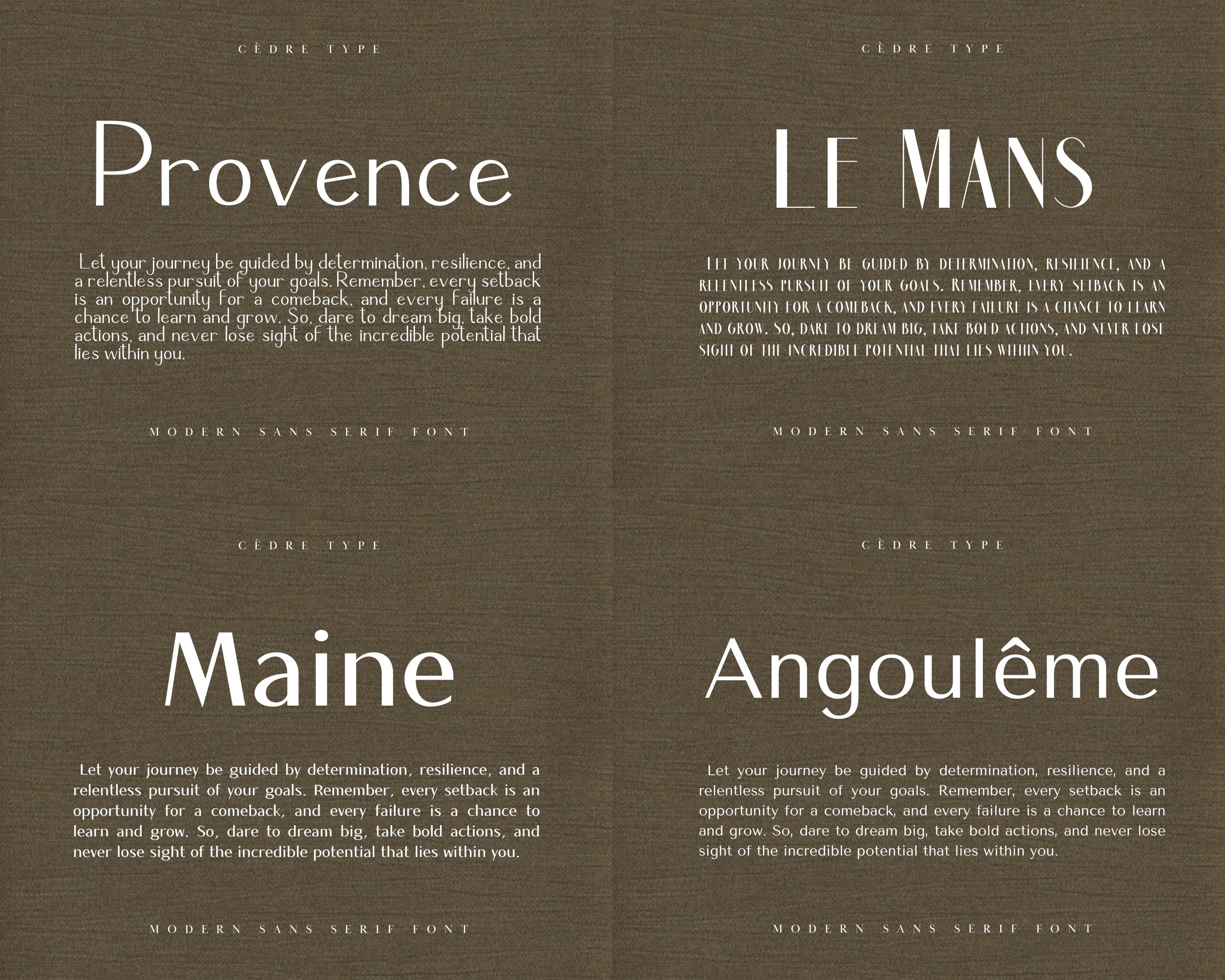 Modern Sans Serif Fonts Bundle 3, Elegant Modern Sans Serif Font OTF ...