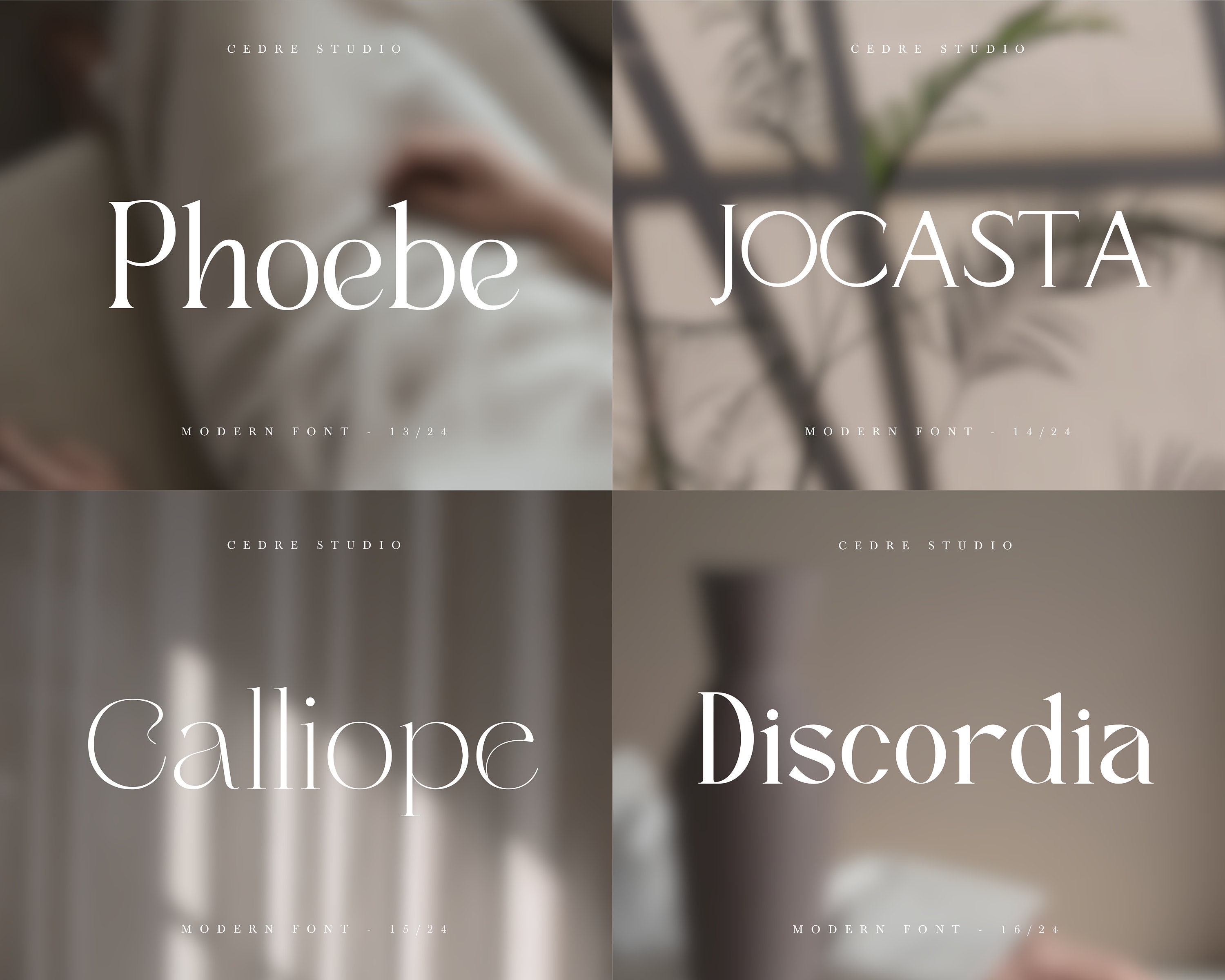 Modern Fonts Bundle 3 Elegant Modern Font OTF High End Font - Etsy