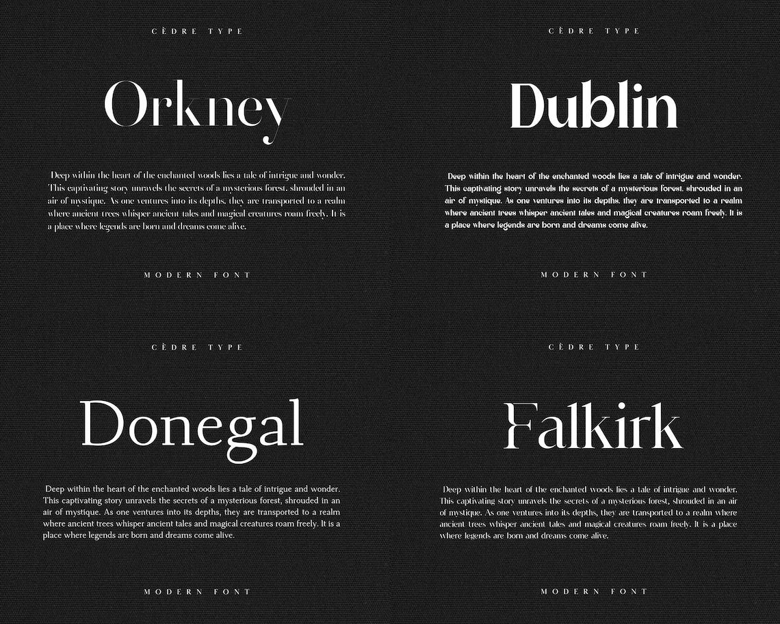 Modern Fonts Bundle 1, Elegant Modern Font OTF, Procreate Fonts, Canva ...