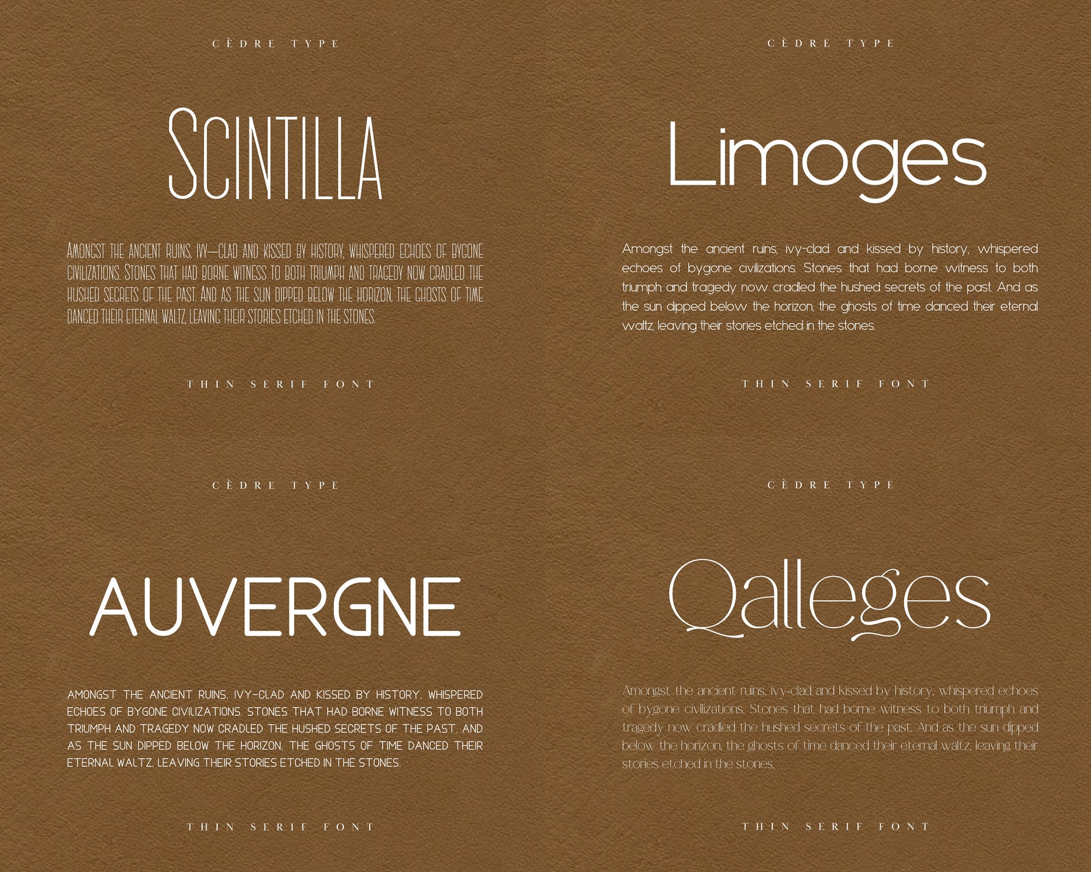 Modern Thin Sans Serif Fonts Bundle, Delicate Thin Sans Serif Font OTF ...