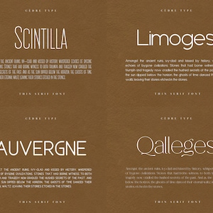 Modern Thin Sans Serif Fonts Bundle, Delicate Thin Sans Serif Font OTF ...