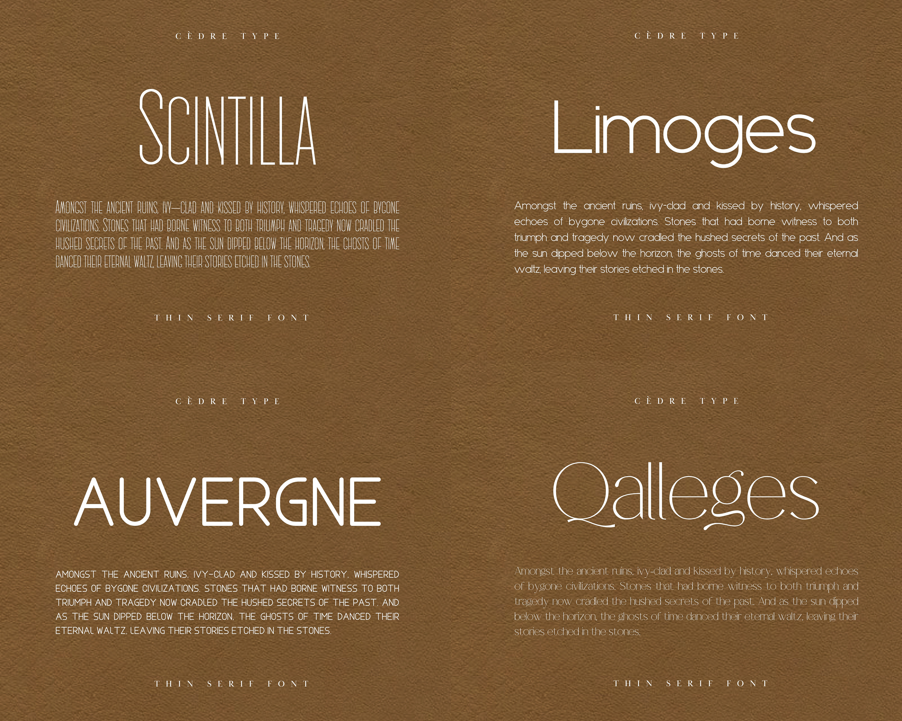 Modern Thin Sans Serif Fonts Bundle, Delicate Thin Sans Serif Font OTF ...