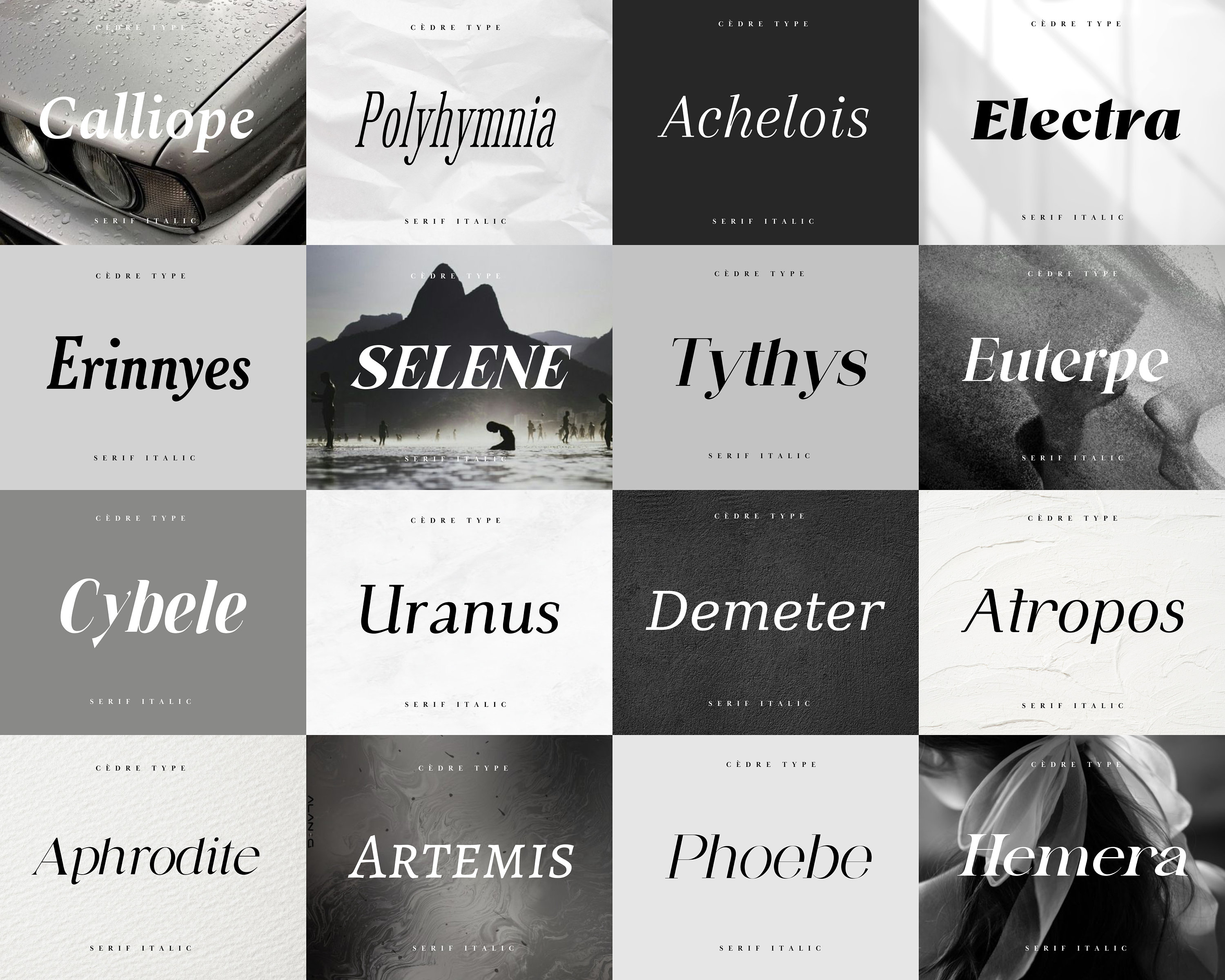 Serif Italic Font Bundle, Modern Serif Italic Fonts OTF, Classy Logo ...