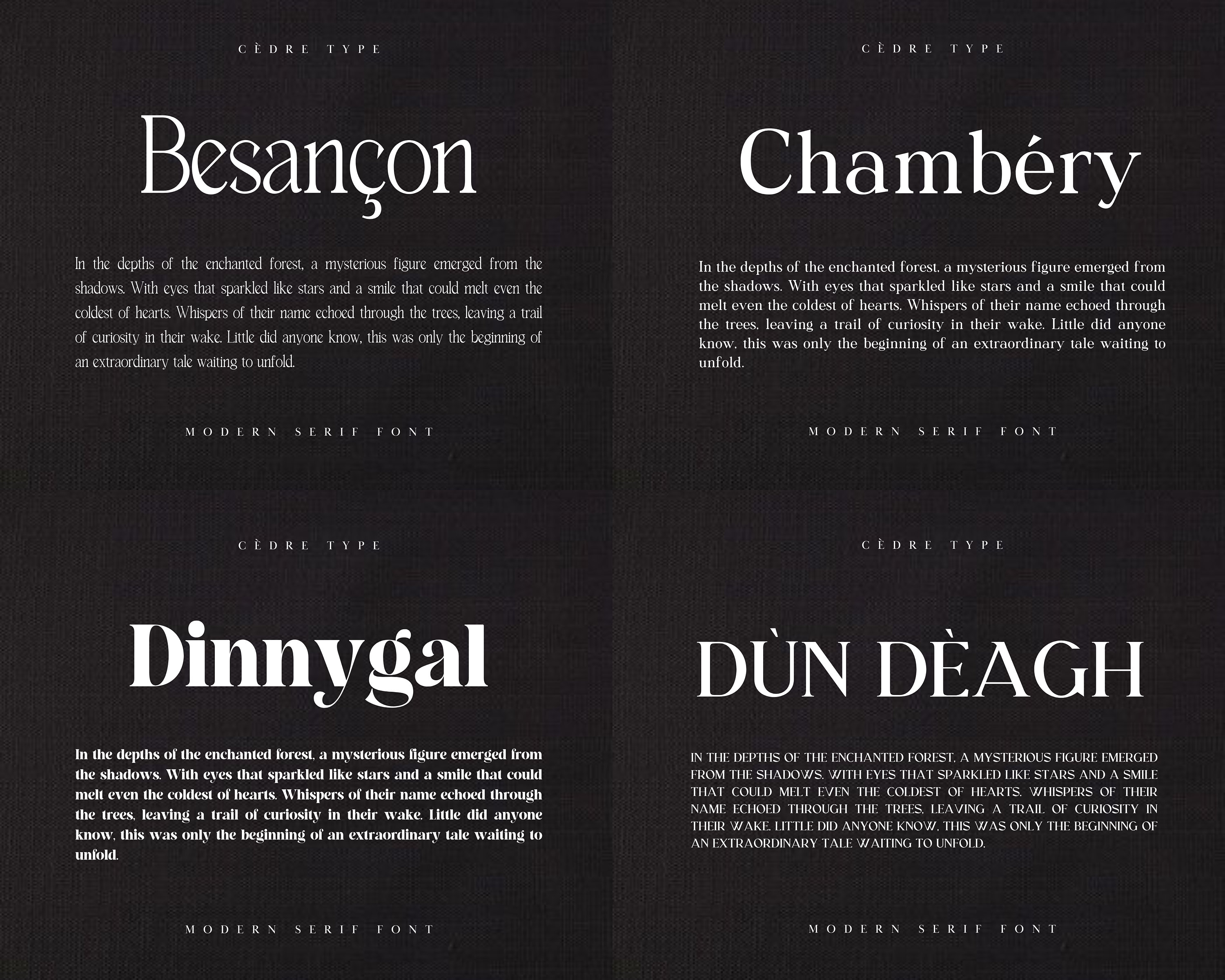 Modern Serif Fonts Bundle 1, Elegant Modern Serif Font OTF, Procreate ...