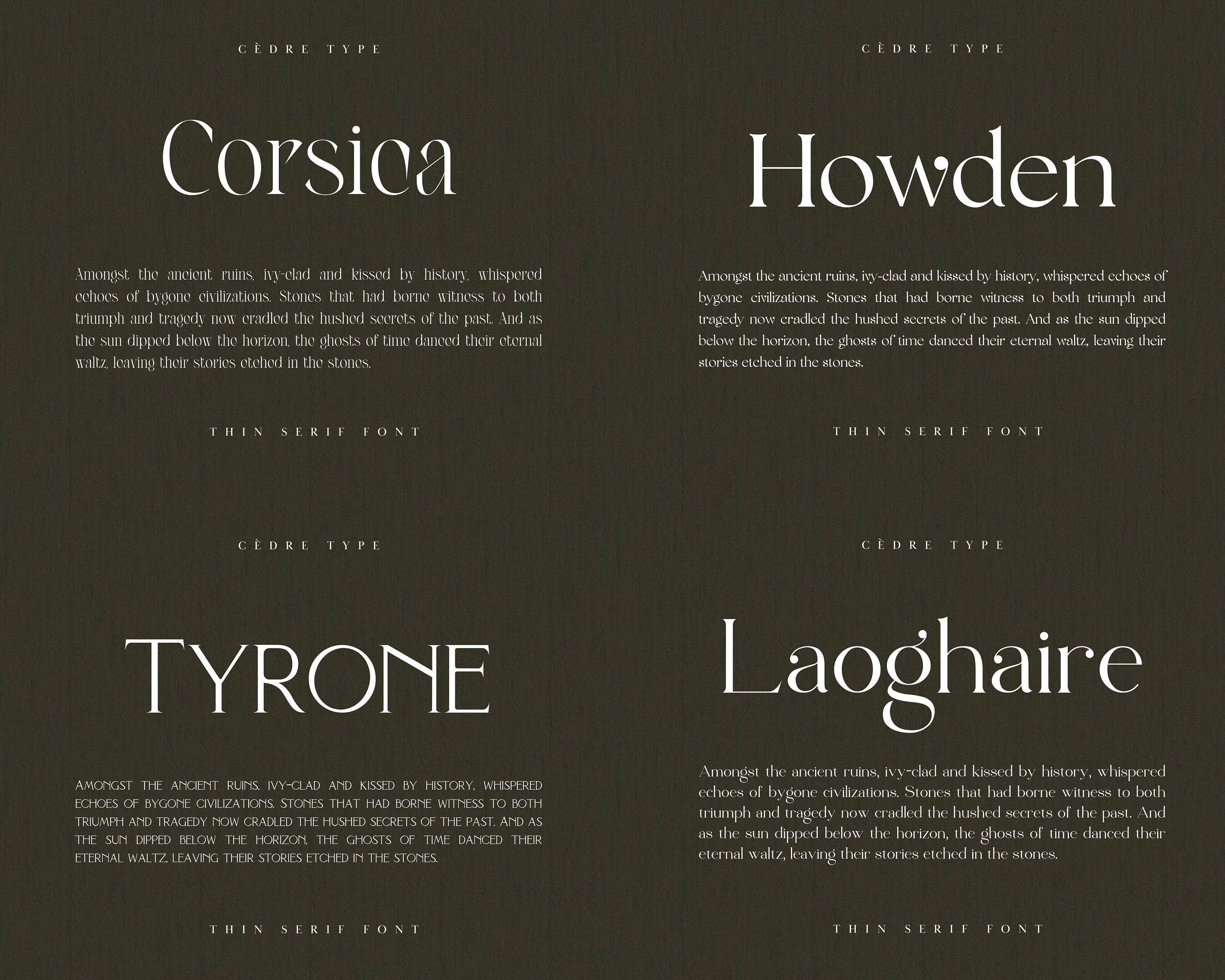 Modern Thin Serif Fonts Bundle, Delicate Thin Serif Font OTF, Crafting ...