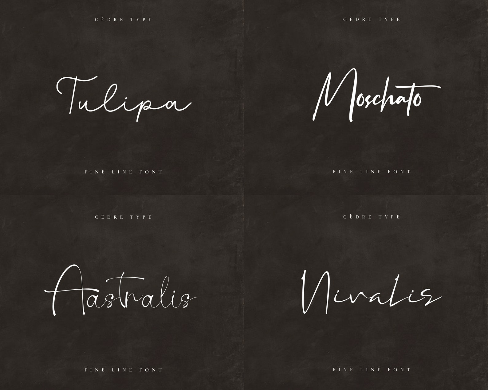 Fine Line Fonts Bundle 1, Cursive Fine Line Font OTF, Procreate Fonts ...