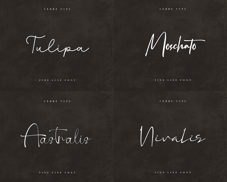 Fine Line Fonts Bundle 1, Cursive Fine Line Font OTF, Procreate Fonts ...