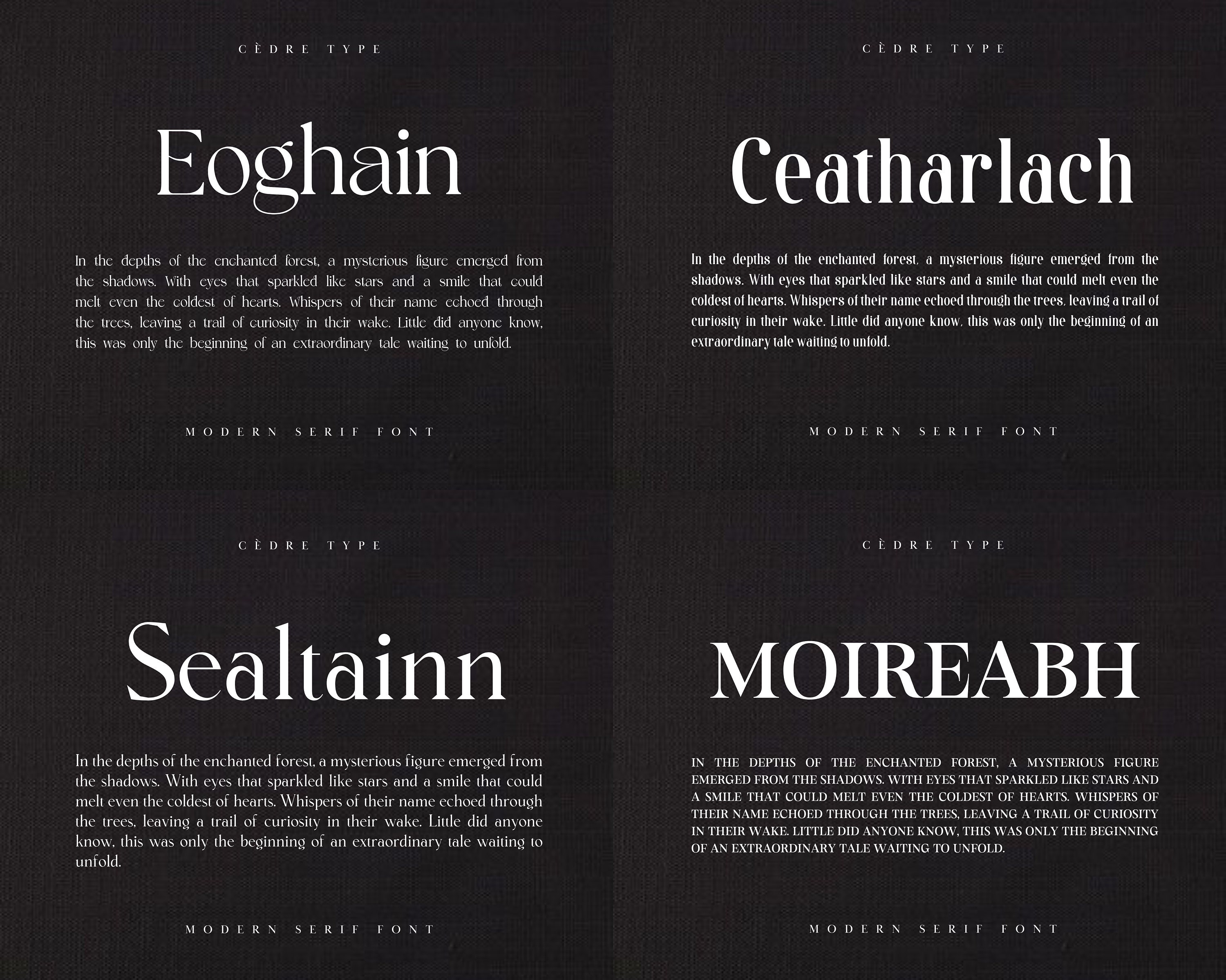 Modern Serif Fonts Bundle 1, Elegant Modern Serif Font OTF, Procreate ...