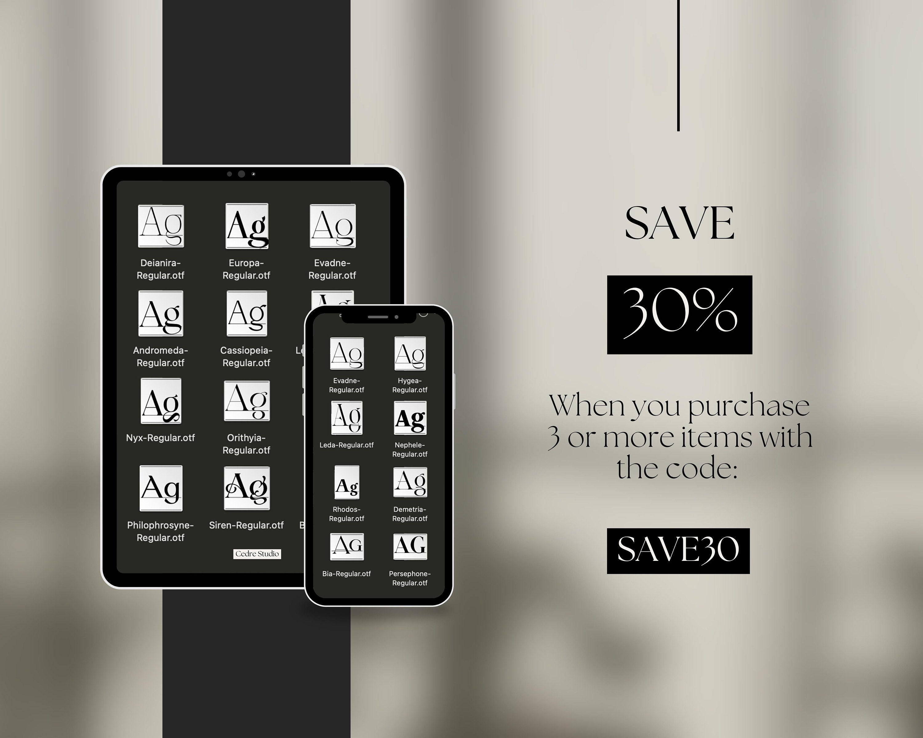 Modern Serif Fonts Bundle 2 Elegant Modern Serif Font OTF - Etsy