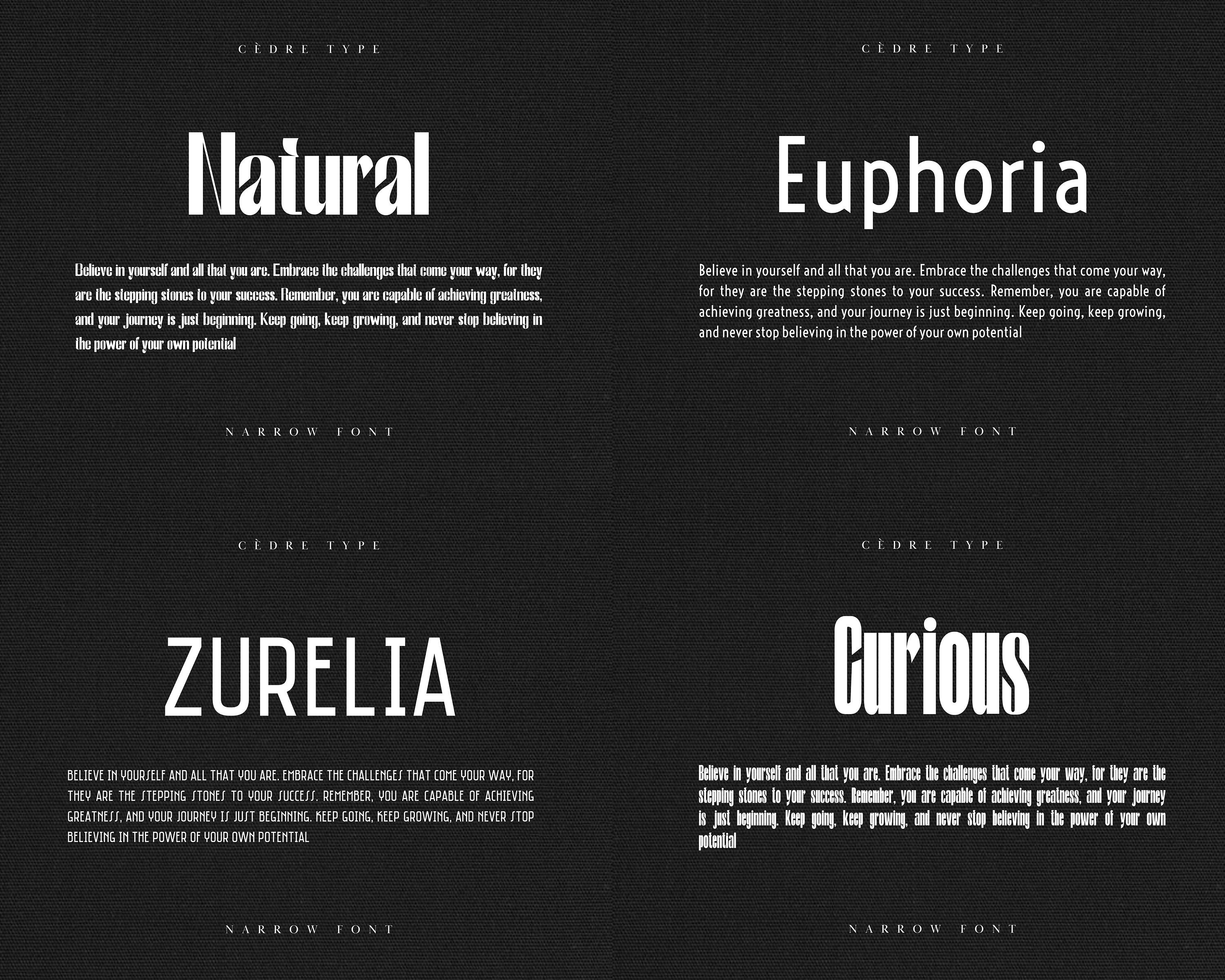 Narrow Fonts Bundle 1, Condensed Narrow Font, Procreate Fonts, Canva ...