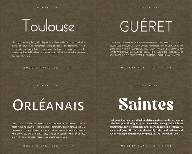 Modern Sans Serif Fonts Bundle 3, Elegant Modern Sans Serif Font OTF ...