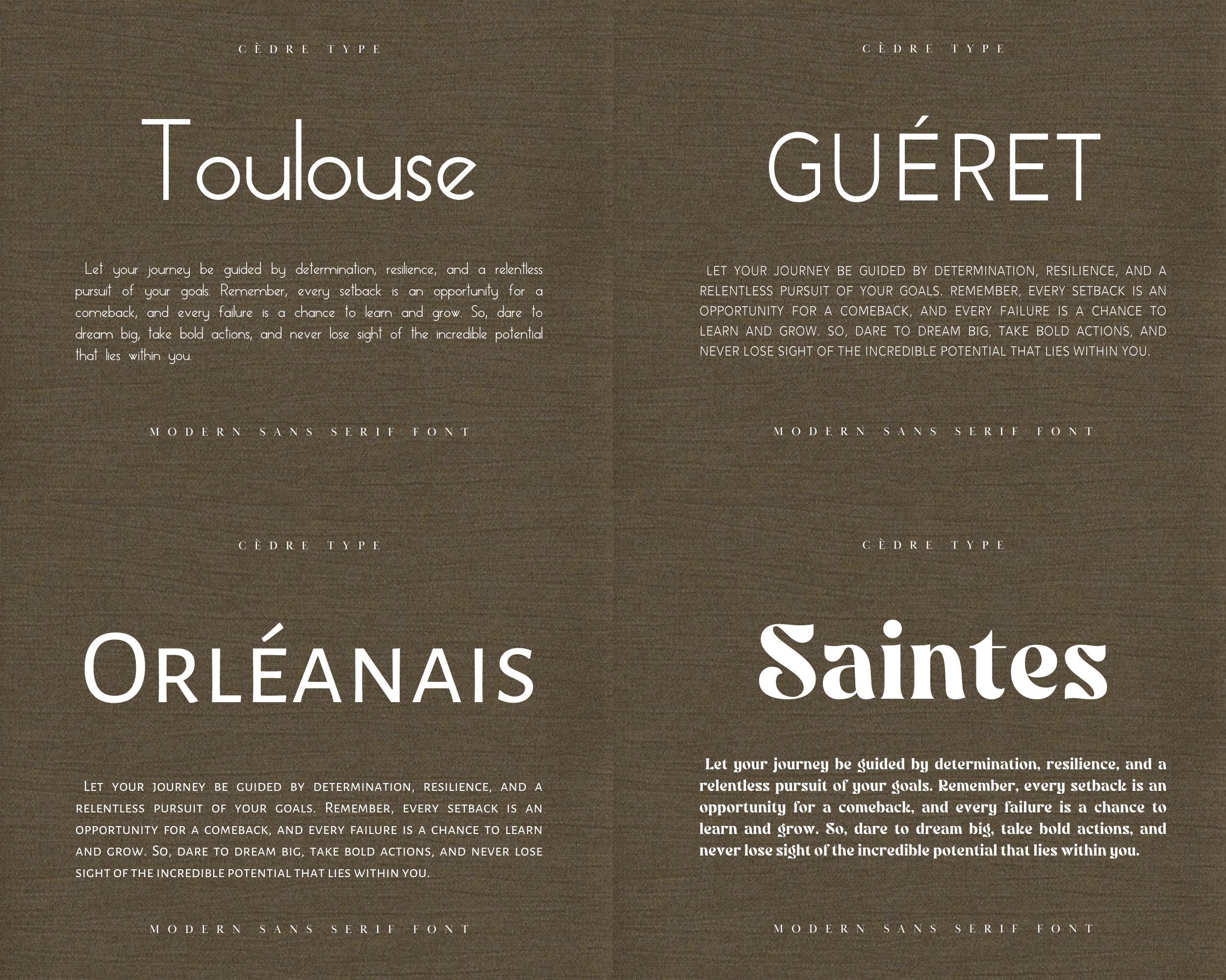 Modern Sans Serif Fonts Bundle 3, Elegant Modern Sans Serif Font OTF ...