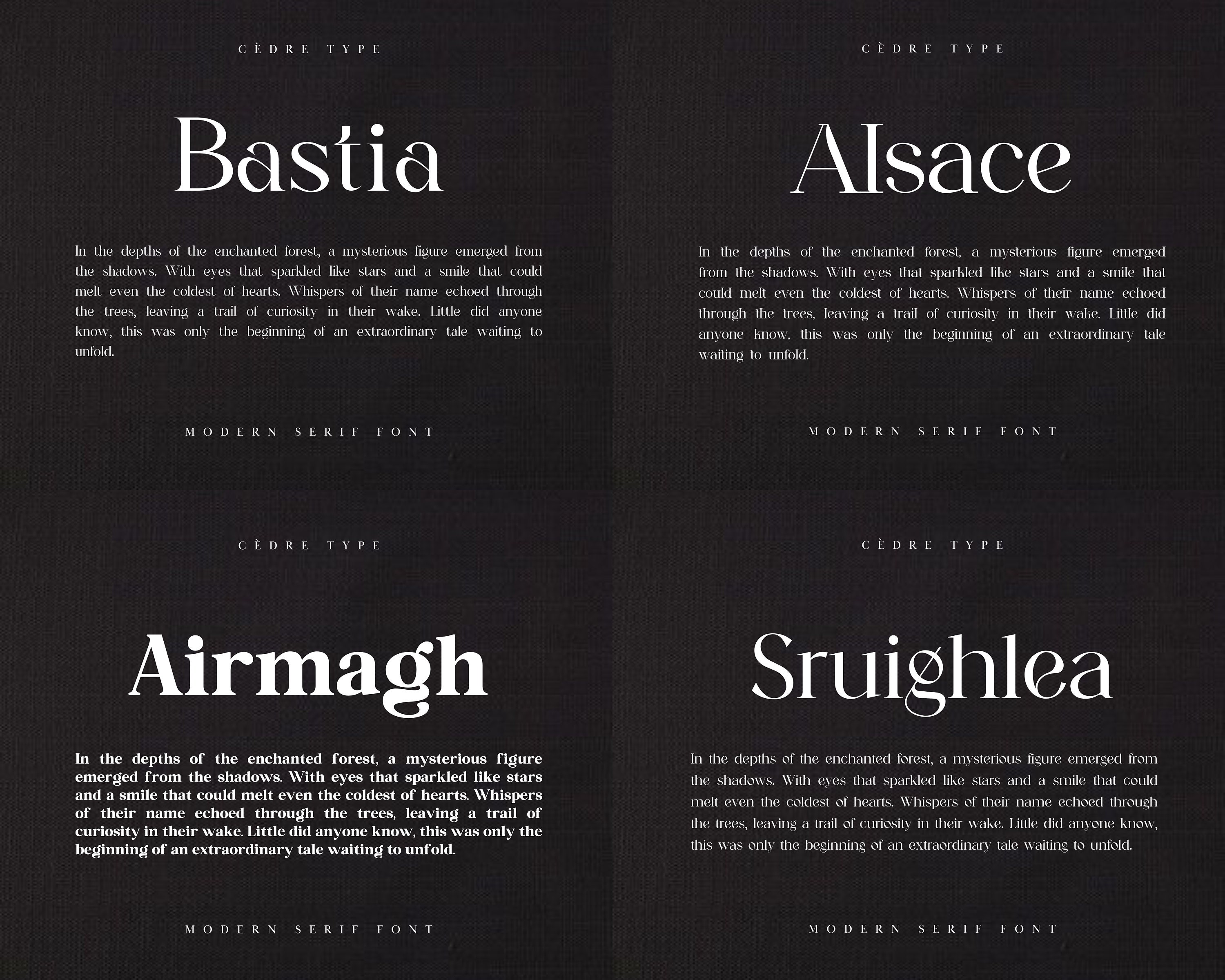 Modern Serif Fonts Bundle 1, Elegant Modern Serif Font OTF, Procreate ...