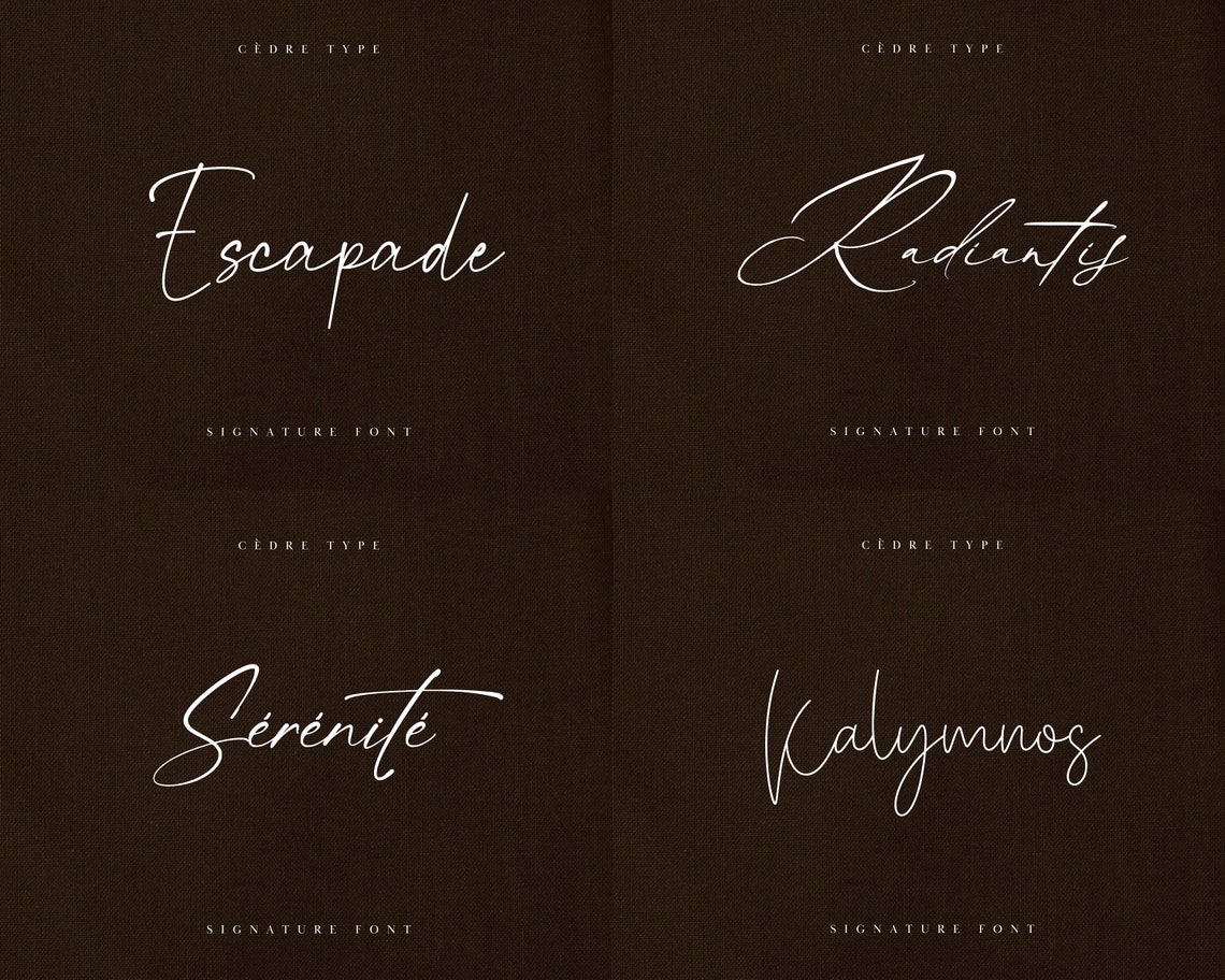 Signature Fonts Bundle 1, Handwritten Signature Font, Handwriting ...