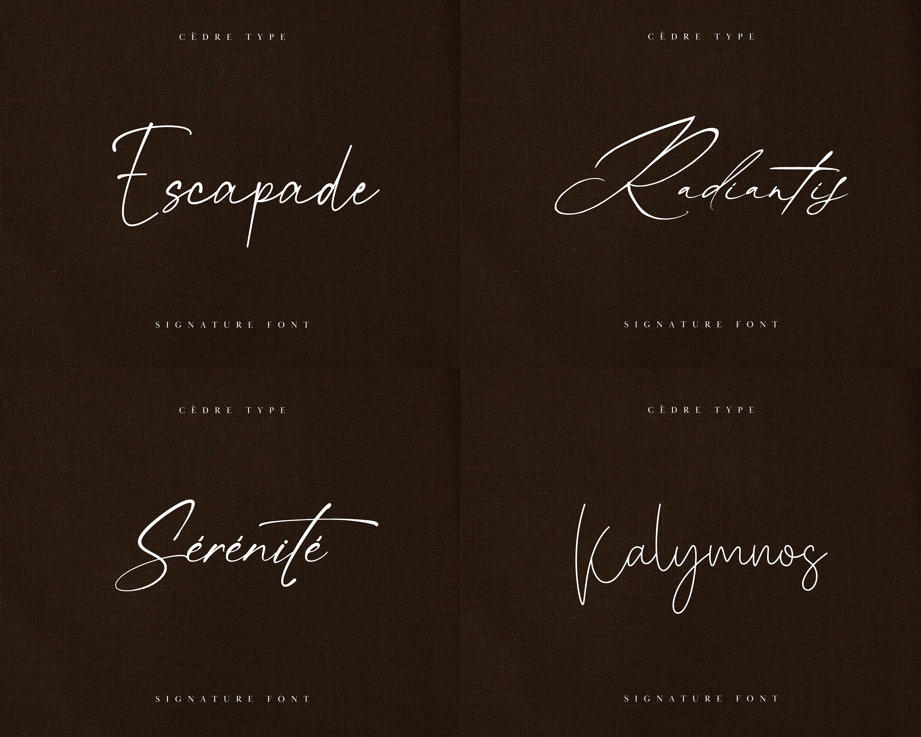 Signature Fonts Bundle 1, Handwritten Signature Font, Handwriting ...
