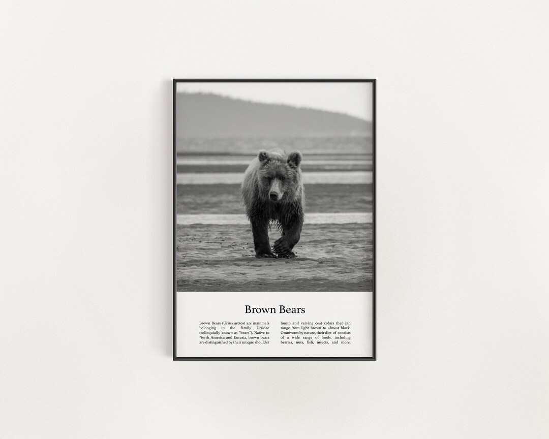 Brown Bear Print, Printable Brown Bear Wall Art, Infographic Brown Bear ...