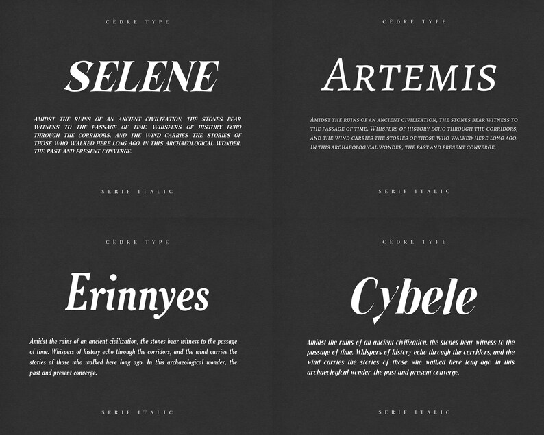 Serif Italic Font Bundle, Modern Serif Italic Fonts OTF, Classy Logo ...