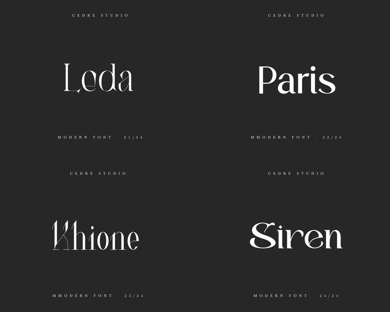 Modern Fonts Bundle 1, Elegant Modern Font OTF, Procreate Fonts, Canva ...