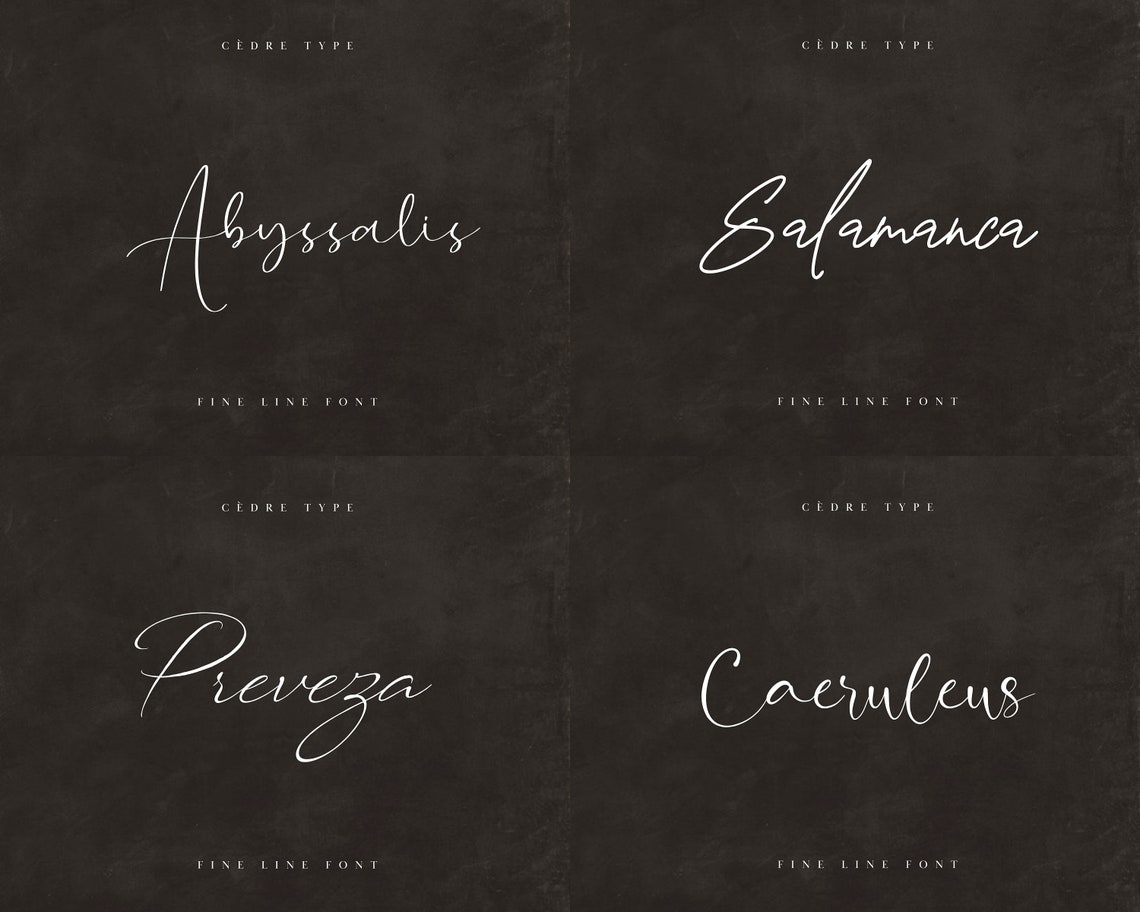 Fine Line Fonts Bundle 1, Cursive Fine Line Font OTF, Procreate Fonts ...