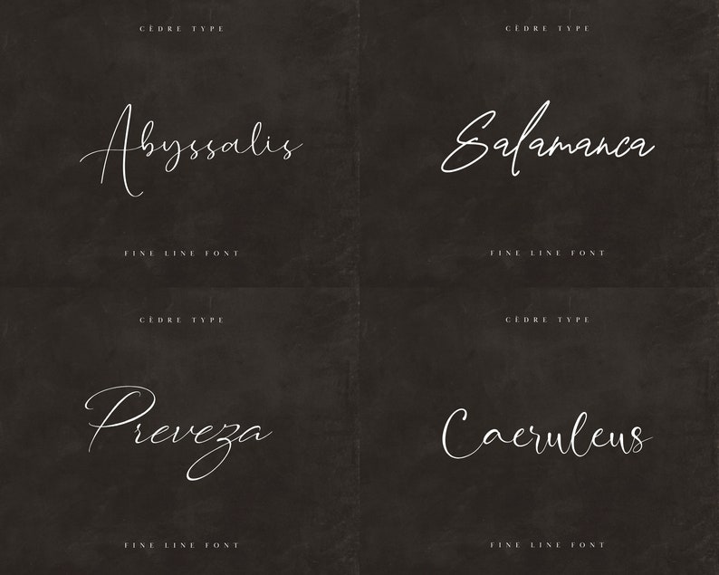 Fine Line Fonts Bundle 1, Cursive Fine Line Font OTF, Procreate Fonts ...