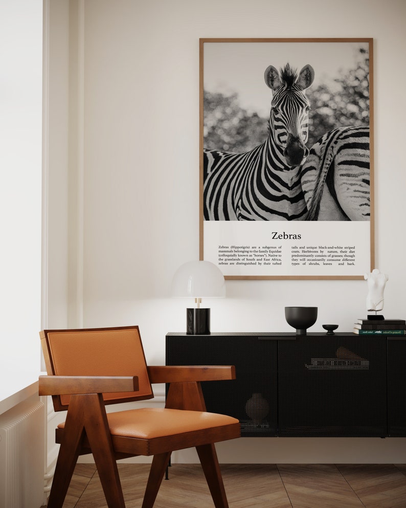 Zebra Print, Printable Zebra Wall Art, Infographic Zebra Poster, Black ...