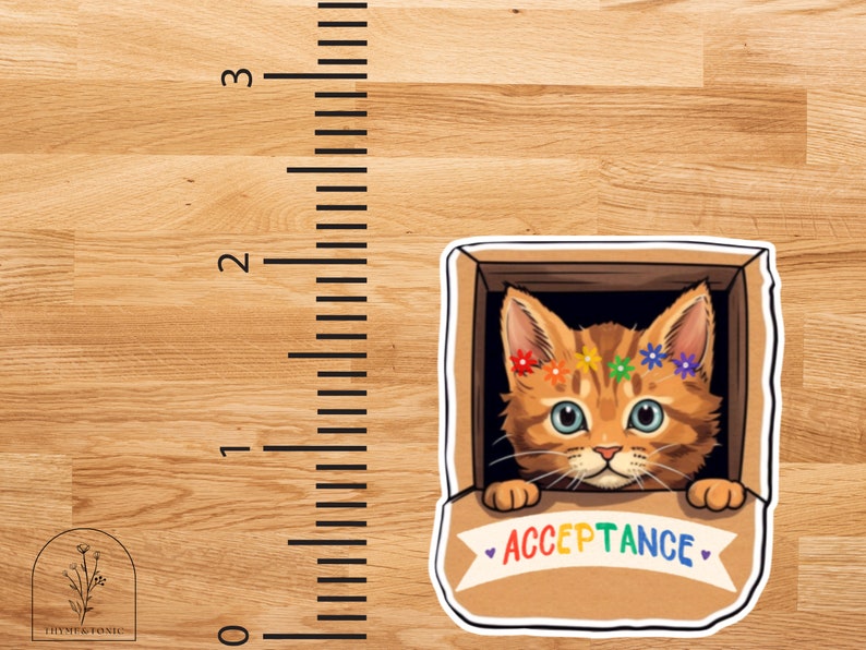 Orange Tabby Cat in Acceptance Pride Box Sticker LGBTQ - Etsy