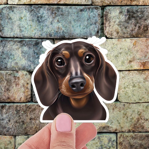 Dachshund Sticker - Etsy