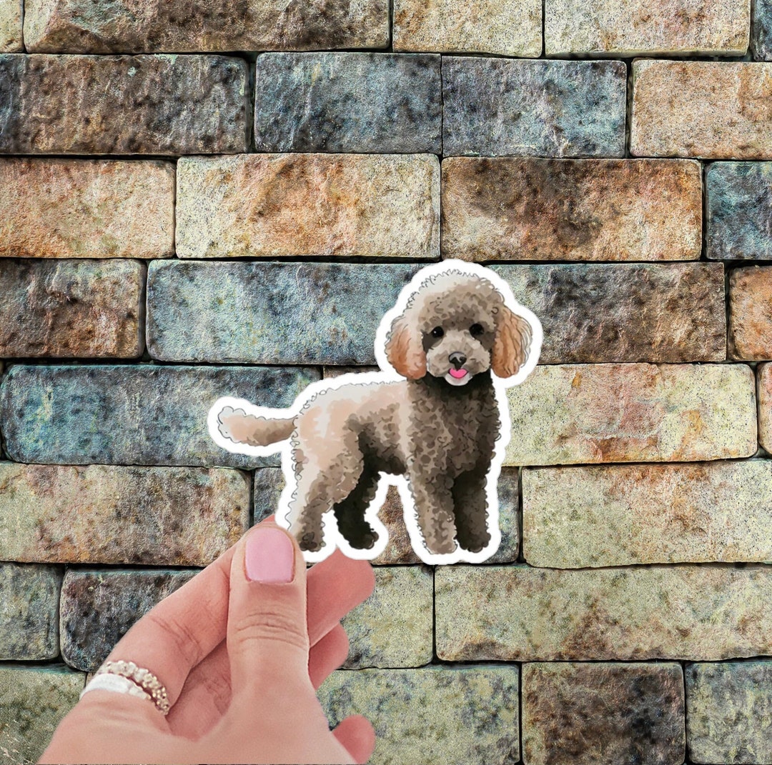 Poodle Watercolor Vinyl Decal Sticker Sticker for Water - Etsy