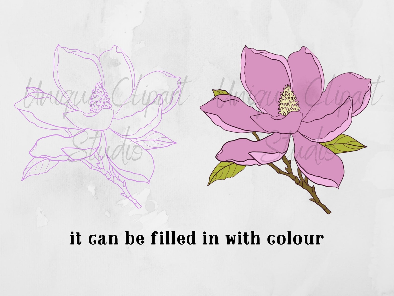 Magnolia Flower SVG Vector | Dxf Ai Png Eps Formats - Perfect for ...