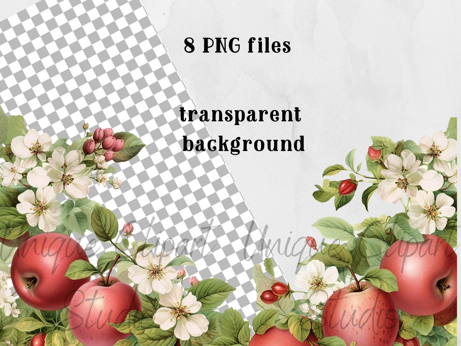 Vintage Apple Border Clipart Bundle | PNG File With Free Commercial Use ...