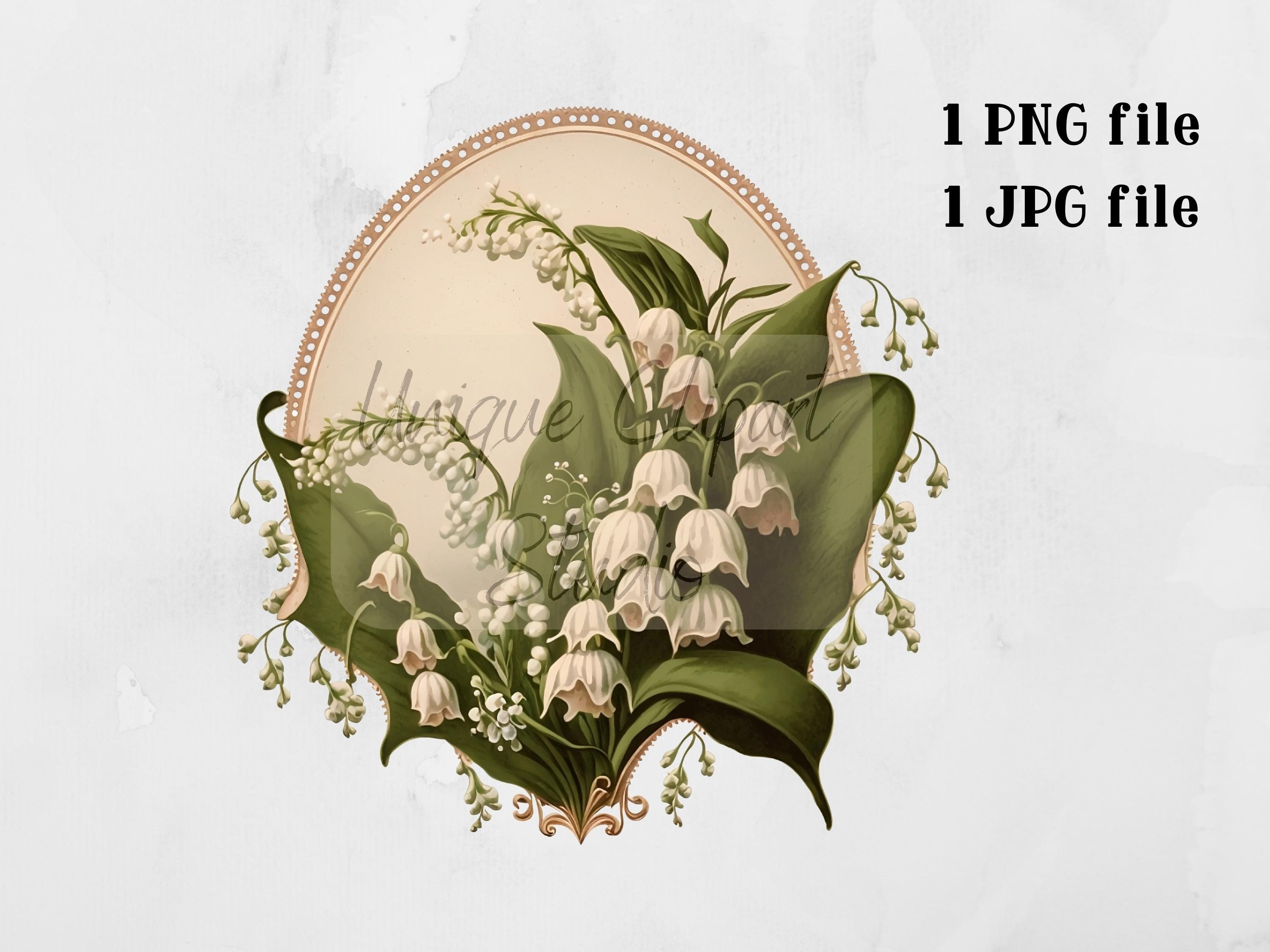 Vintage Lily of the Valley Clipart | PNG Instant Download Free ...