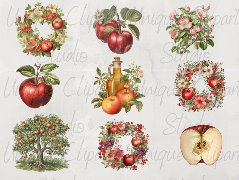 Vintage Red Apples Clipart Set | 19 PNG Files | Free Commercial Use ...