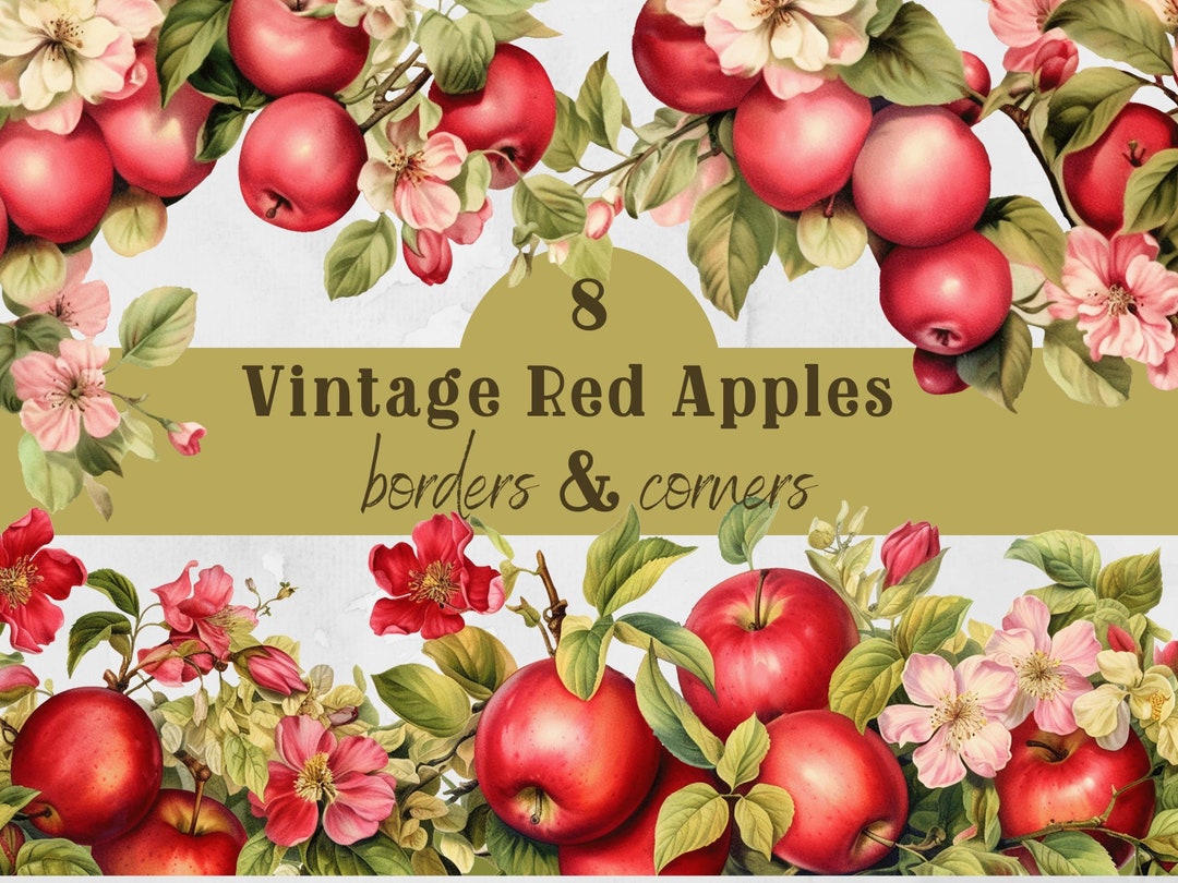 Vintage Apple Border Clipart: Invitation & Frame PNG Bundle (digital ...
