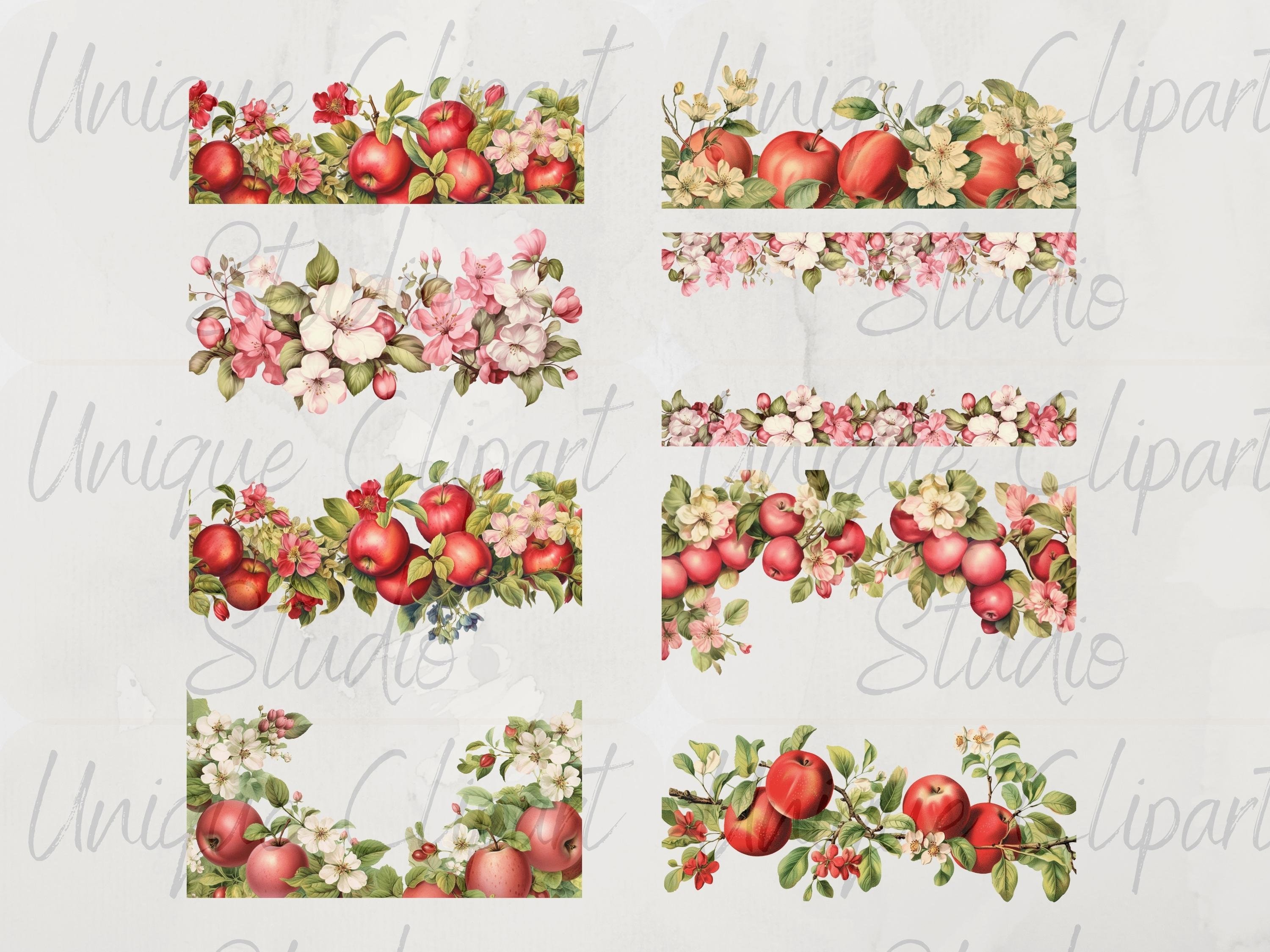 Vintage Apple Border Clipart Bundle | PNG File With Free Commercial Use ...