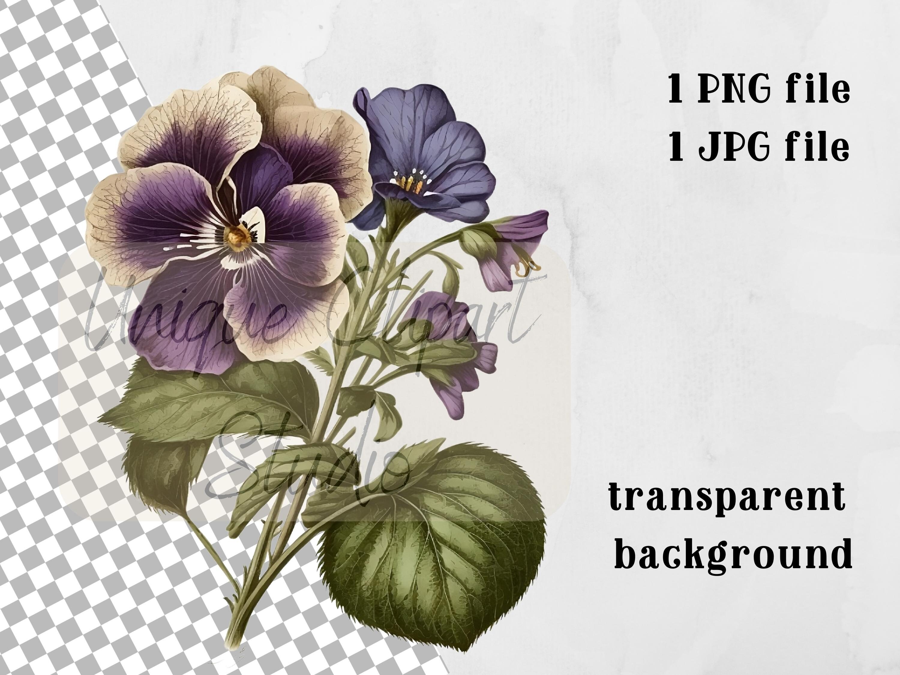 Vintage Violets Clipart | PNG Instant Download Free Commercial Use ...