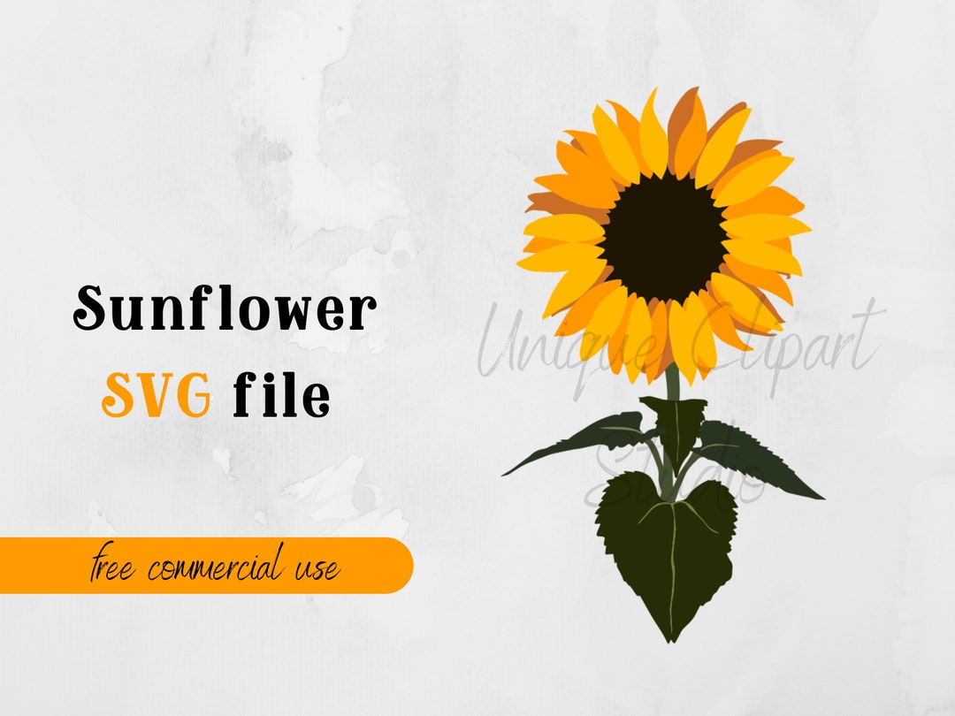 Sunflower Flower SVG Vector | Dxf Ai Png Eps Formats - Perfect for ...