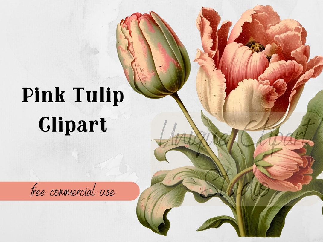 Vintage Tulip Clipart | PNG Instant Download Free Commercial Use ...