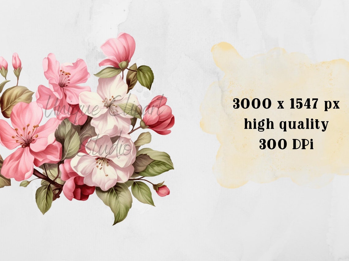 Vintage Apple Border Clipart Bundle | PNG File With Free Commercial Use ...