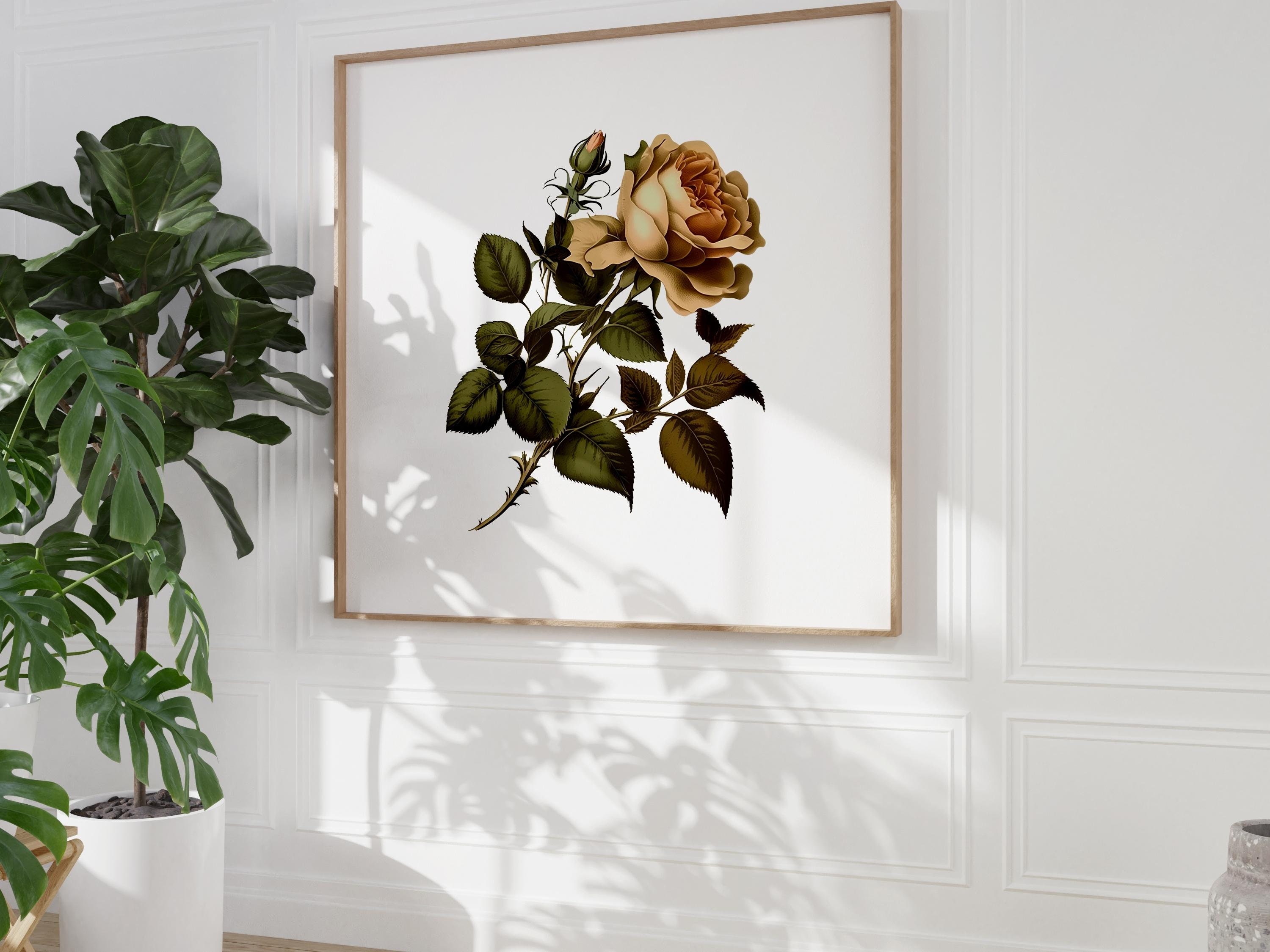 Vintage Pastel Rose Clipart | PNG Instant Download Free Commercial Use ...