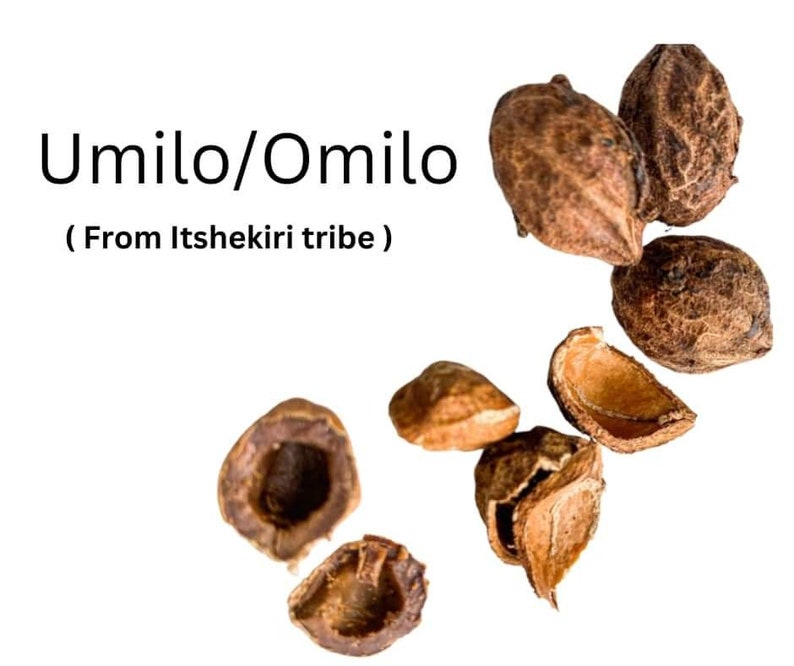 Pepper Soup Spicy - Etsy