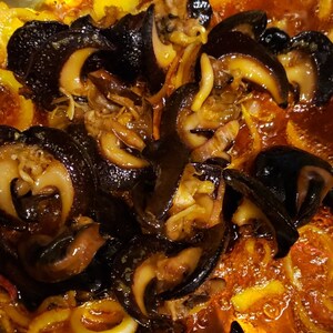 Fresh Frozen Snail Extra Jumbo Size / 20 Pieces - Etsy