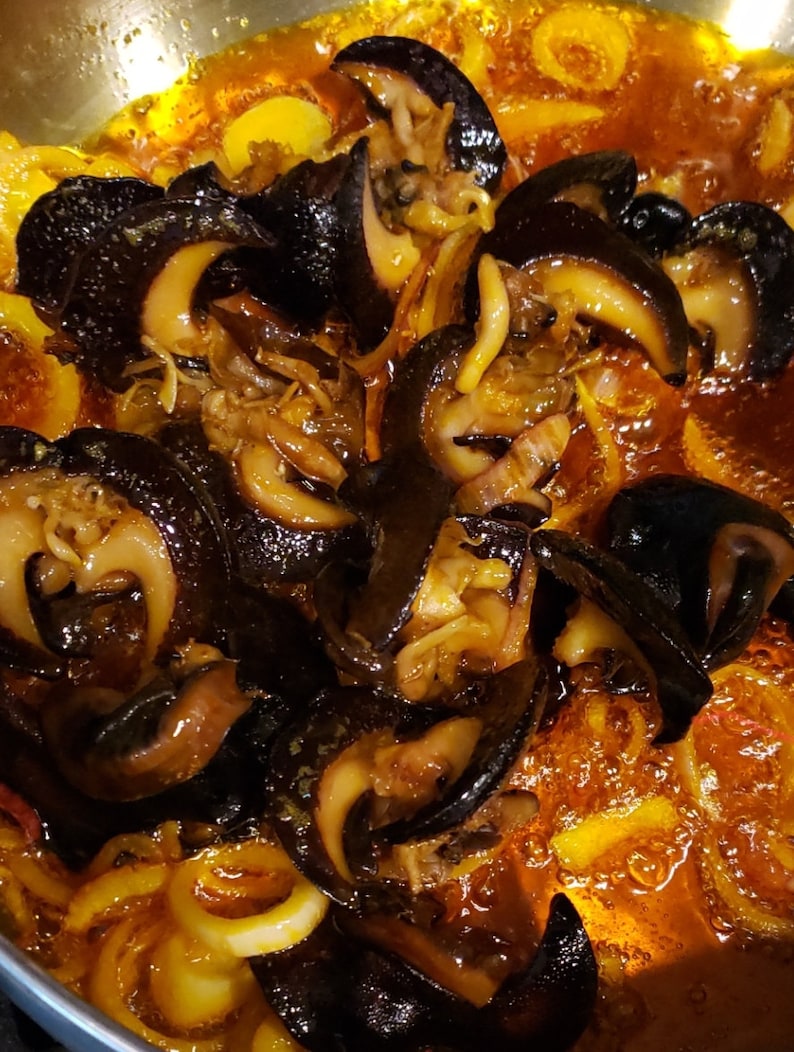 Fresh Frozen Snail Extra Jumbo Size / 20 Pieces - Etsy