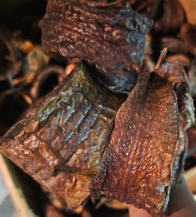 Abo Fish, Eja Abo (sole Fish) 5 Pices - Etsy