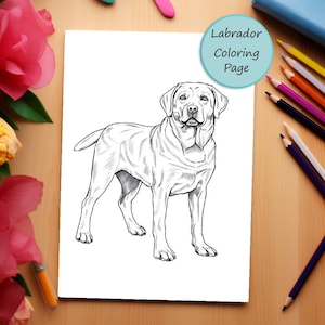 Labrador, Dog, Coloring Page, Dog Portrait, Printable Coloring Page ...