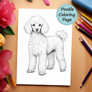 coloring pages toy poodle