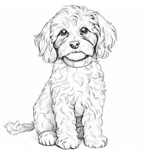 Cavapoochon, Dog, Coloring Page, Dog Portrait, Printable Coloring Page ...