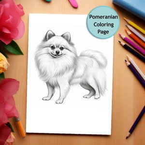 coloring pages of pomeranians