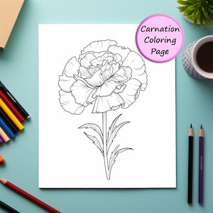 Carnation Coloring Page, Flower Portrait, Printable Coloring Page ...
