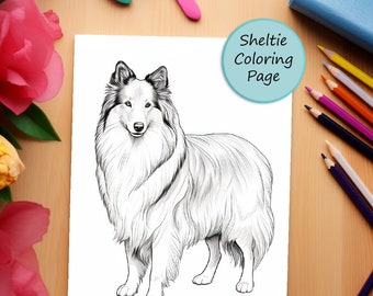 shetland sheepdog coloring pages