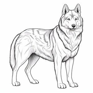 Husky | Dog | Coloring Page | Pet Portrait | Printable Coloring Page ...